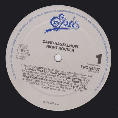 David Hasselhoff Night Rocker LP Album Gre Vinyl Schallplatte 012 | eBay.de