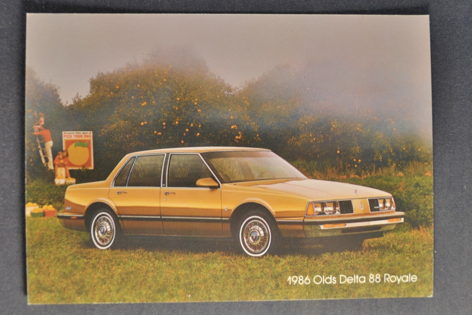 1986 Oldsmobile Delta 88