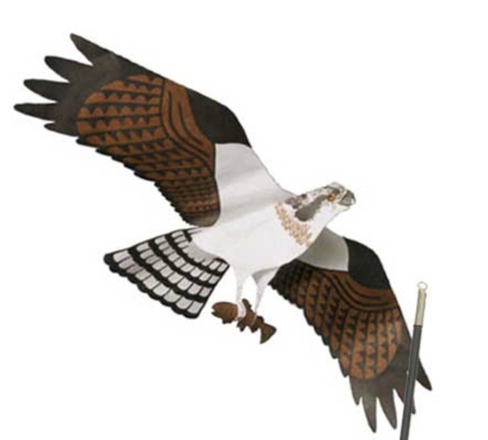 Vintage Jackite Osprey Kite / Windsock for sale online | eBay