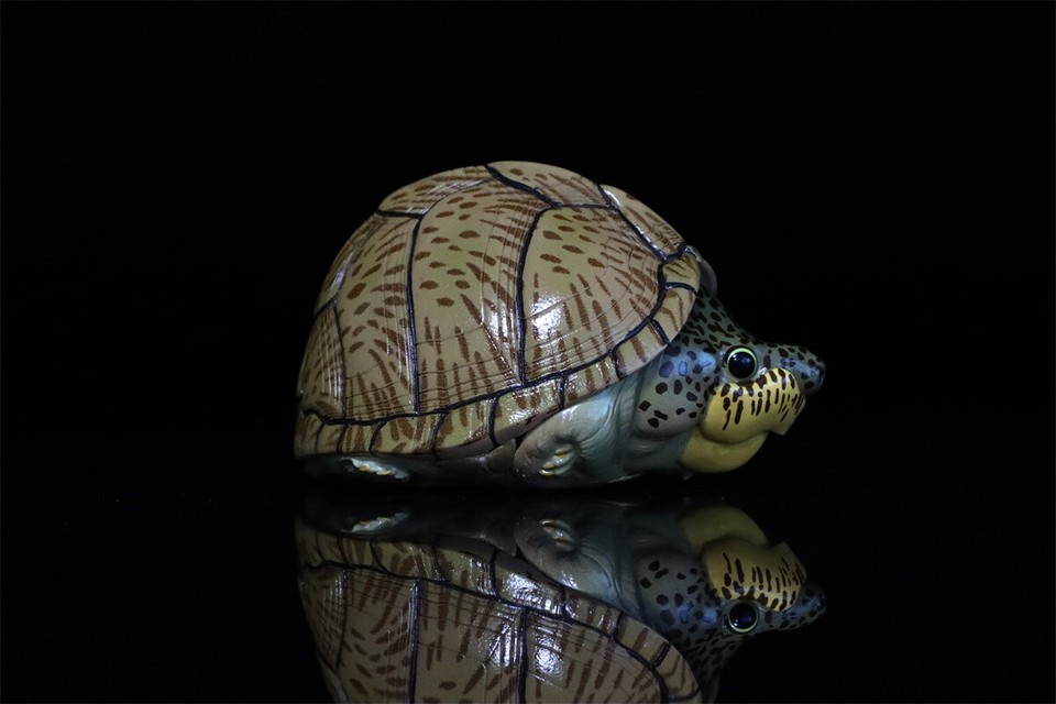 ANIMAL HEAVENLY BODY 08 Blind Box Model Matamata Turtle Stink-pot ...