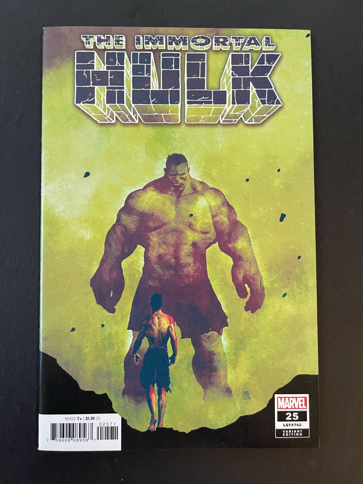 Immortal Hulk #25 - Variant Cover 1:25 Retailer (Marvel, 2018) NM/MINT ...