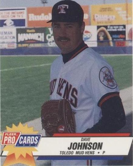 1993 Fleer ProCards Minor League - Dave Johnson #1651 for sale online ...
