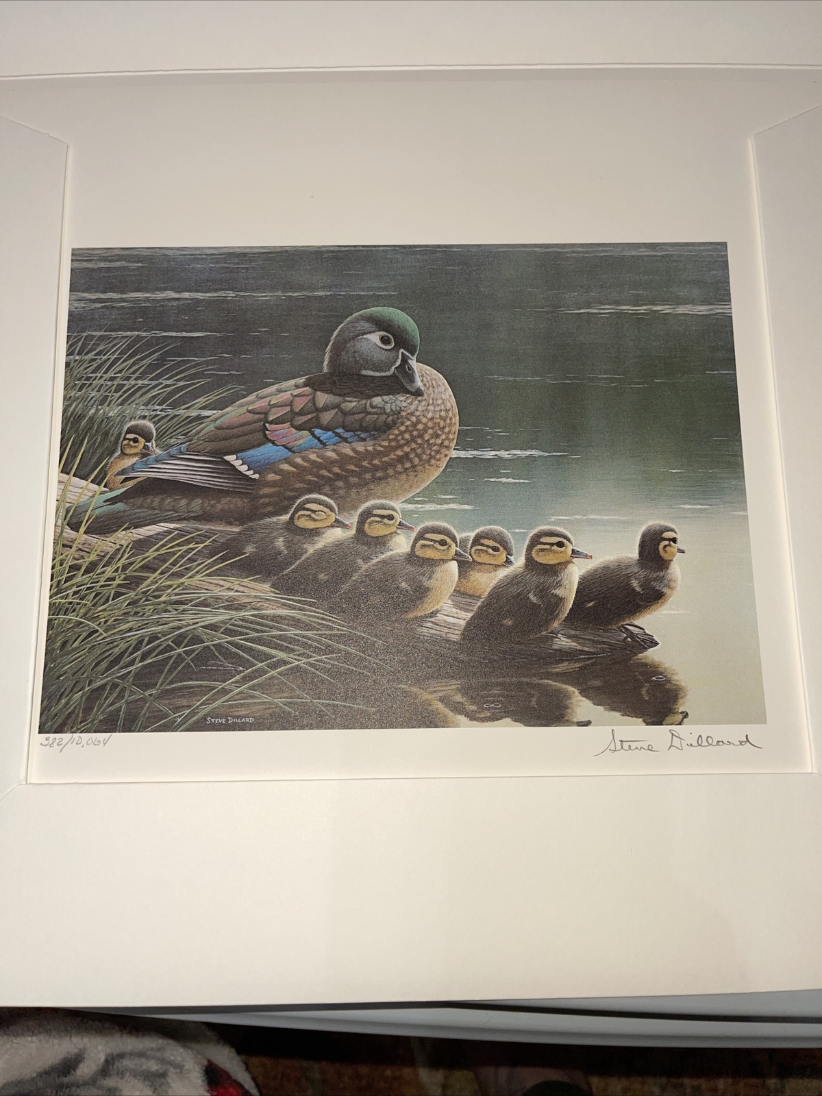 1988 WEST VIRGINIA State Duck Stamp Print Steve Dillard + 2 Stamps | eBay
