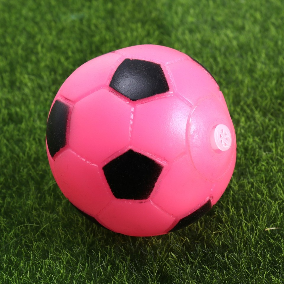 Interactive Soccer Football Toy for Dogs with Squeaking Sound | eBay UK