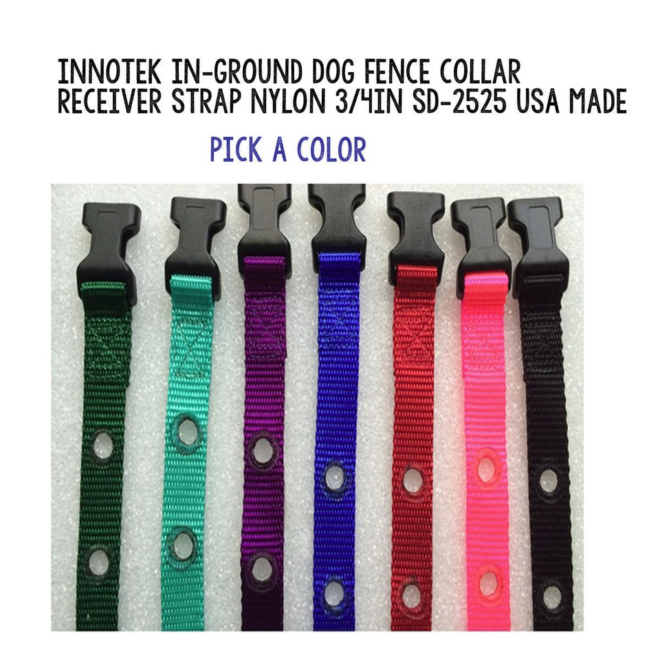 Innotek In-Ground Dog Fence Collar Receiver Strap Nylon 3/4in SD-2525 ...