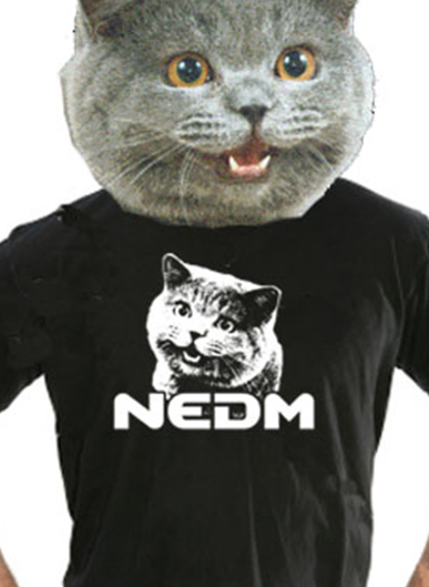 Nedm Memes Stream NEDM Guitar Remix Awsomezilla By King Uber
