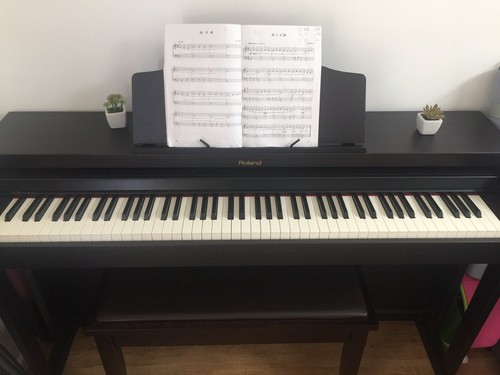 Roland HP504 Rosewood Digital Piano and Premium Bench（Original price is ...