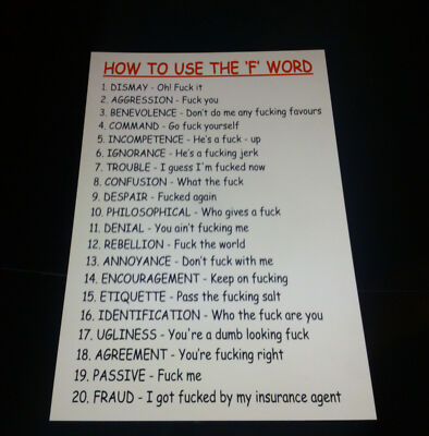 HOW TO USE THE F WORD FUNNY SIGN, Novelty. Rude birthday secret santa ...