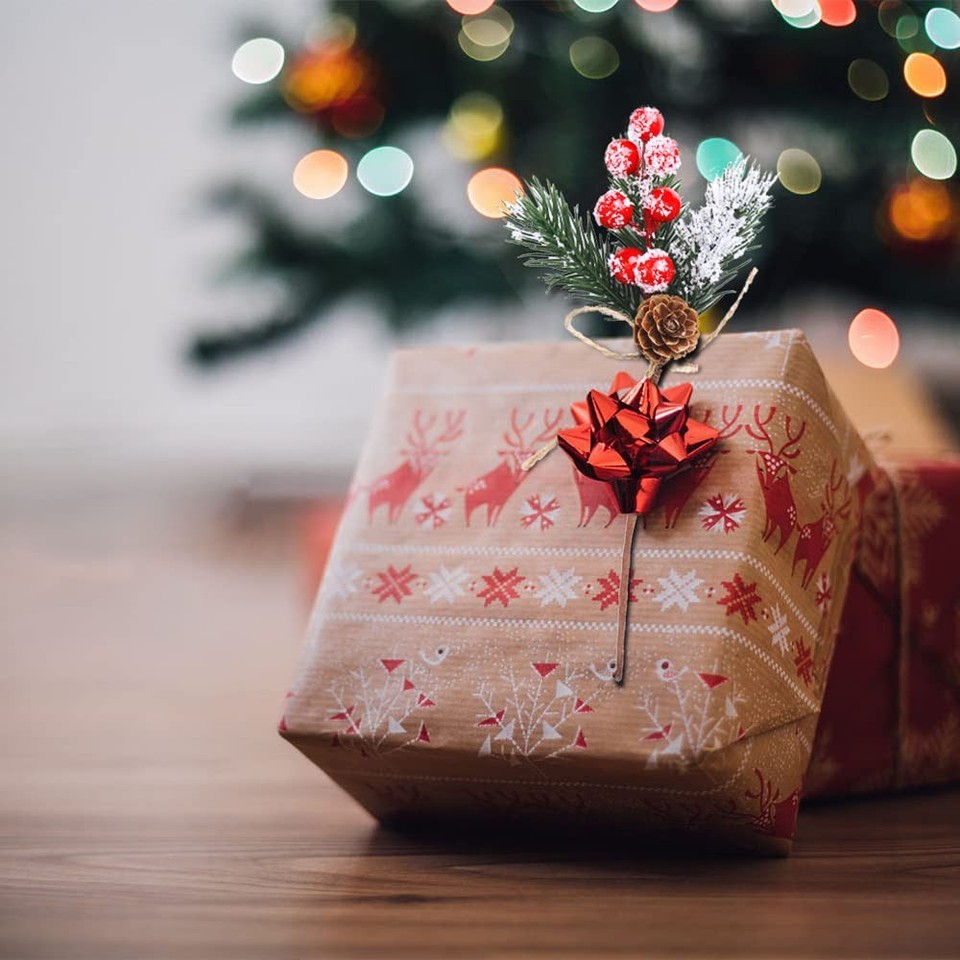 Puluole 10 Pcs Red Berries Pine Cones for Crafts - Evergreen Artificial ...