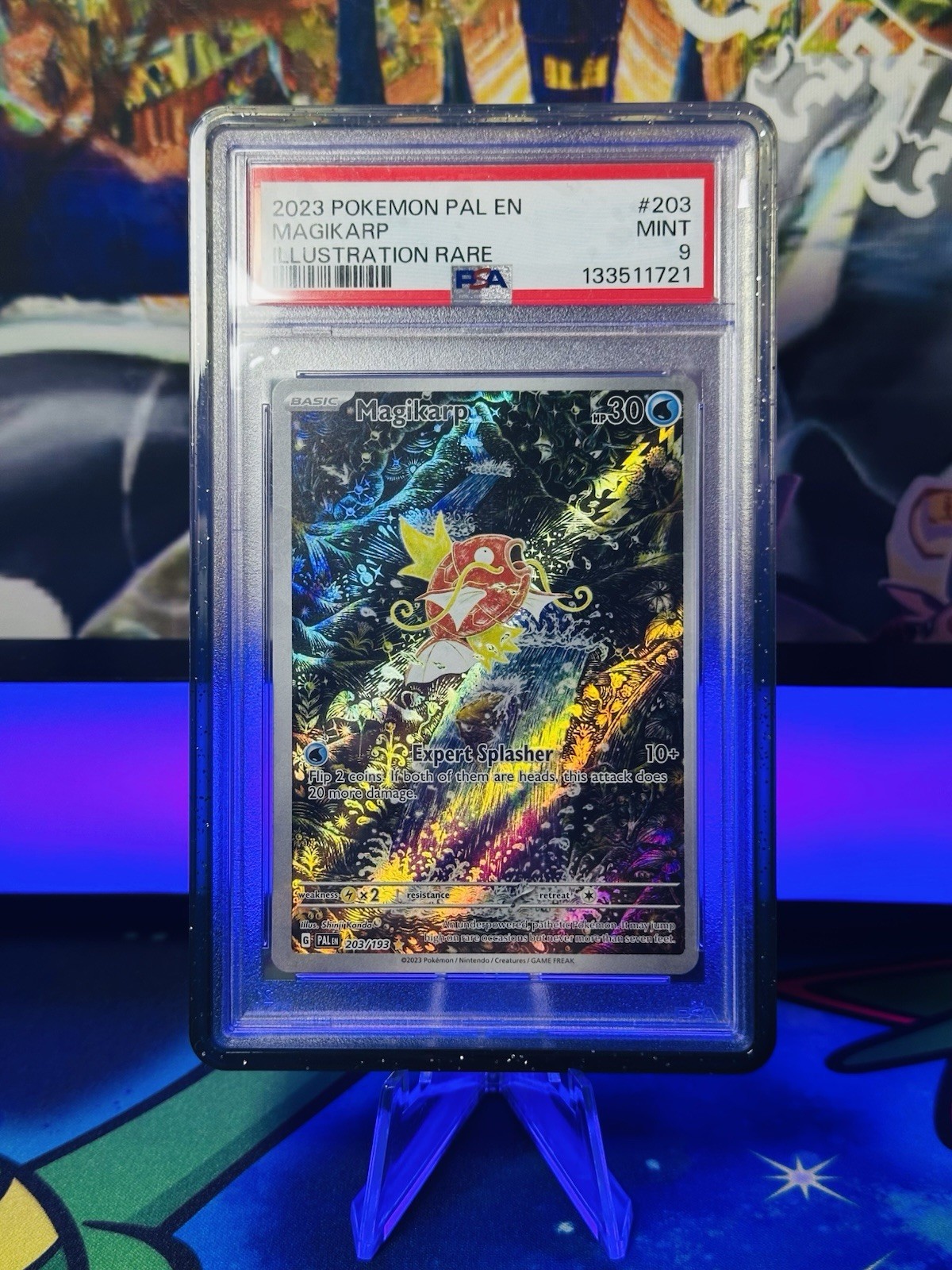 Magikarp 203 Current Market Value | Paldea Evolved