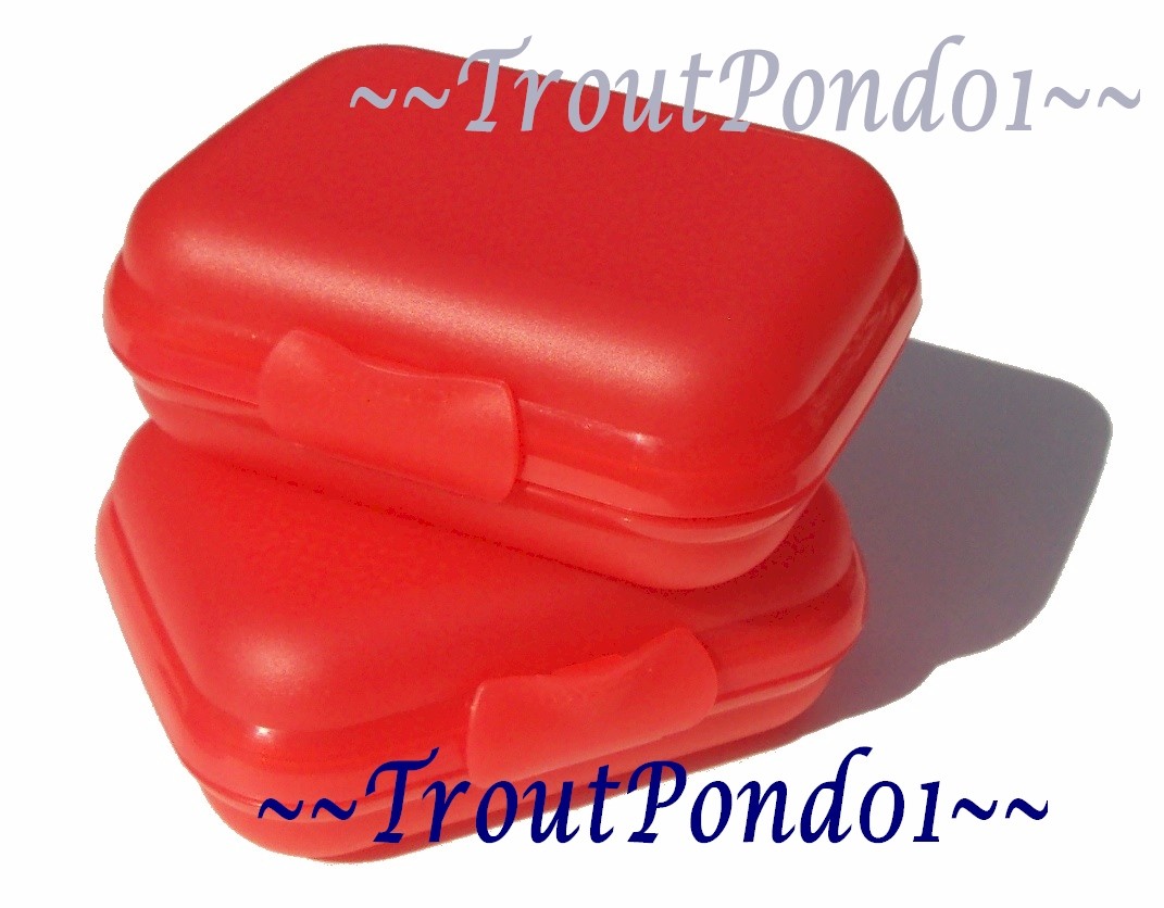Tupperware Packables Hinged Container Trinket Box Oyster Watermelon Red ...