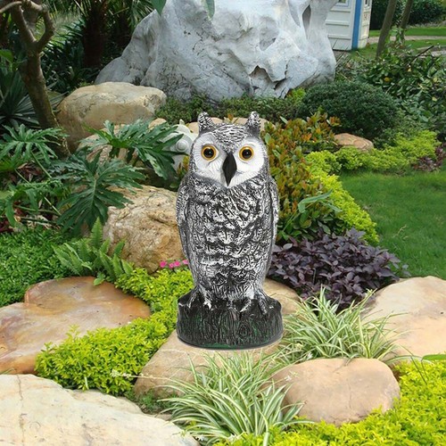 Plastic Realistic Scare Owl Bird Pest Deterrent Scarer Statue Garden ...