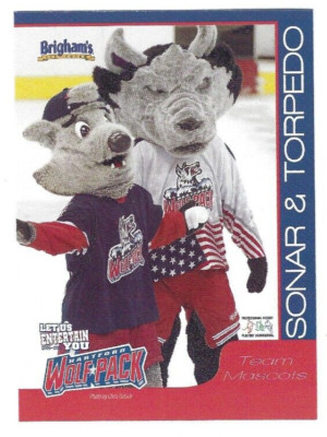 2005-06 Hartford Wolf Pack (AHL) Sonar & Torpedo (mascot) | eBay