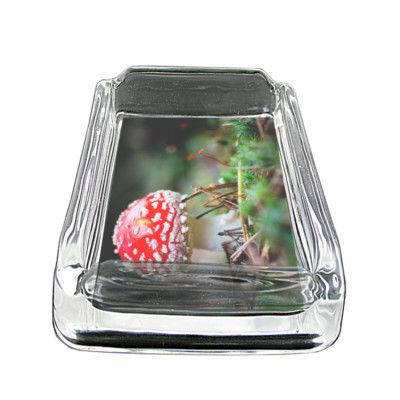 Groovy Trippy Mushroom D2 Glass Square Ashtray 4" x 3" Smoking ...