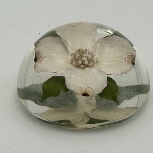 Vintage W. Rolfe Acrylic Lucite Clear Paperweight with Dogwood Flower ...