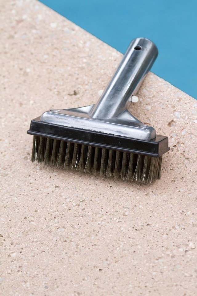 20178 Aluminum-Back Swimming Pool Algae Brush with 5-Inch Steel Brush 1 ...