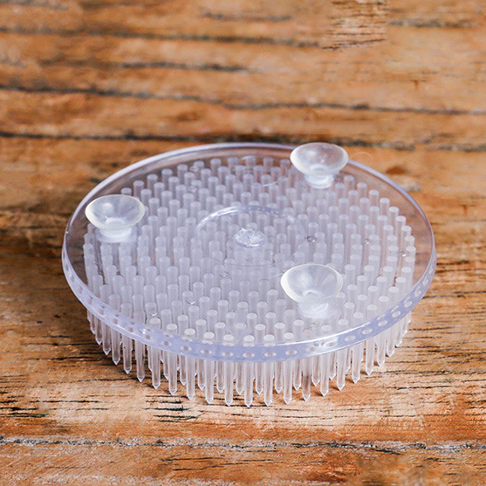 Flower Frog Durable Safe Mini Suction Cups Flower Arrangement Holder ...