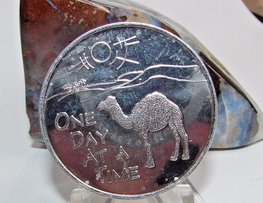 Alcoholics Anonymous AA One Day At A Time Camel Aluminum Medallion Coin ...
