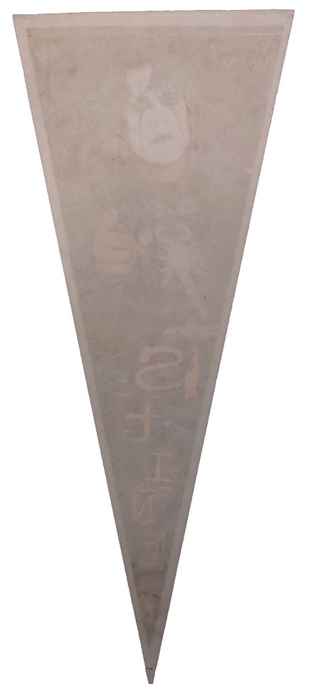 Wincraft Sting NWO WCW WWF WWE Wrestling Pennant Flag | eBay