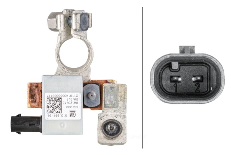 Intelligent Battery Sensor (IBS) Hella 010557441 | eBay