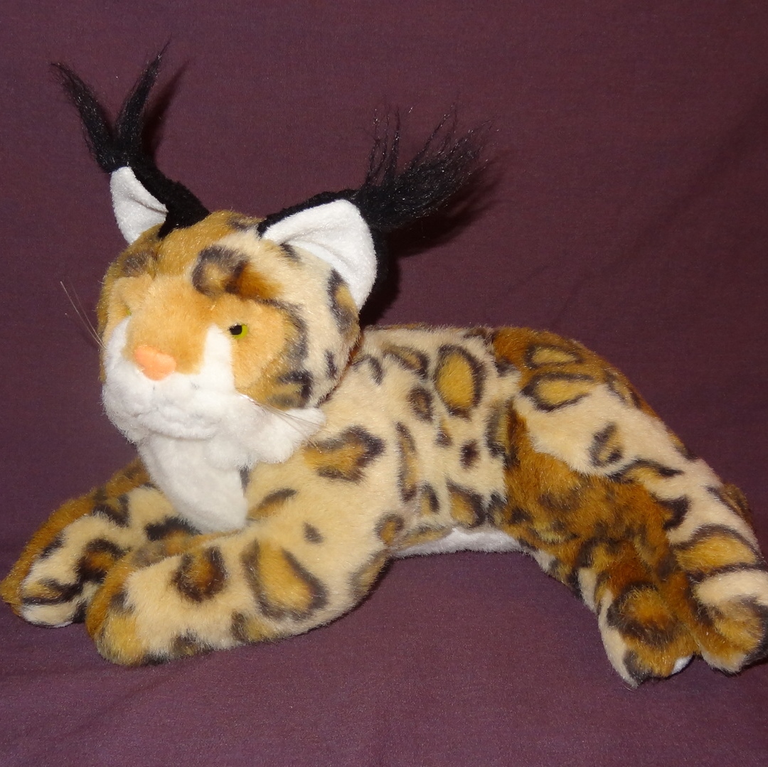 Bobcat Plush Stuffed 8"Animal Sugar Loaf Brown Tan White | eBay