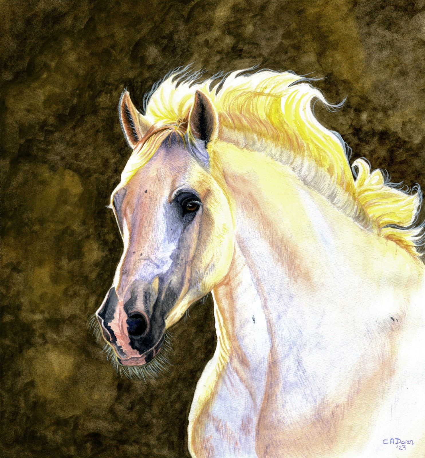 Carol Ann Doran Art - Watercolour Painting - Connemara Horse | eBay UK