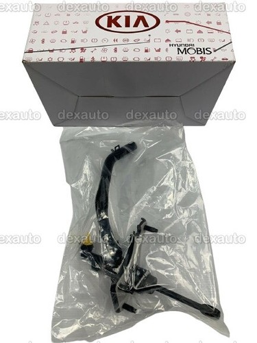 GENUINE Clutch Master Cylinder M/T for 12-17 Hyundai Accent Kia Rio ...