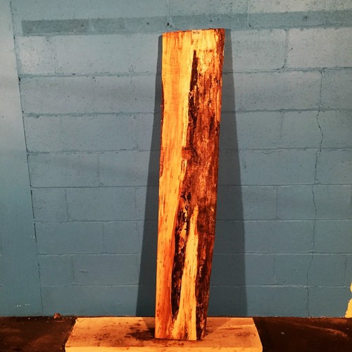 #7476, spalted Tiger Maple Live Edge Slab lumber wood L 62" W10 1/2" T ...