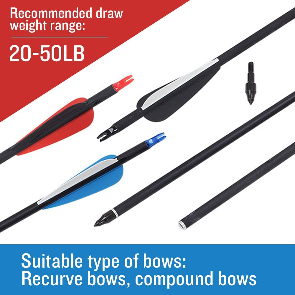 80Cm(31 Inch) Carbon Arrow Practice Hunting Arrows Spine 500 with ...