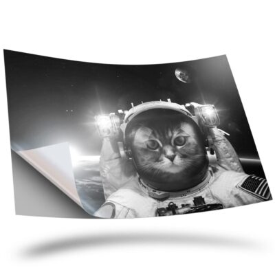 1 x Vinyl Sticker A2 - BW - Cute Cat Space Astronaut Kitten Animal ...