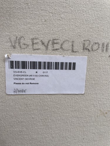 Huge Wall Art By Vincent George “Evergreen” Framed Canvas Print “48x60 ...