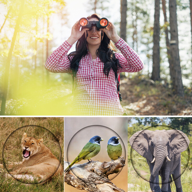 Binoculars 80X80 Long Range 90000m HD High Power Telescope Optical ...