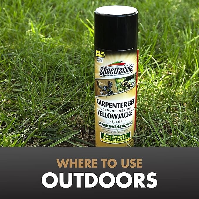 Spectracide Carpenter Bee & Nesting Yellowjacket Killer Spray 16Oz Each ...