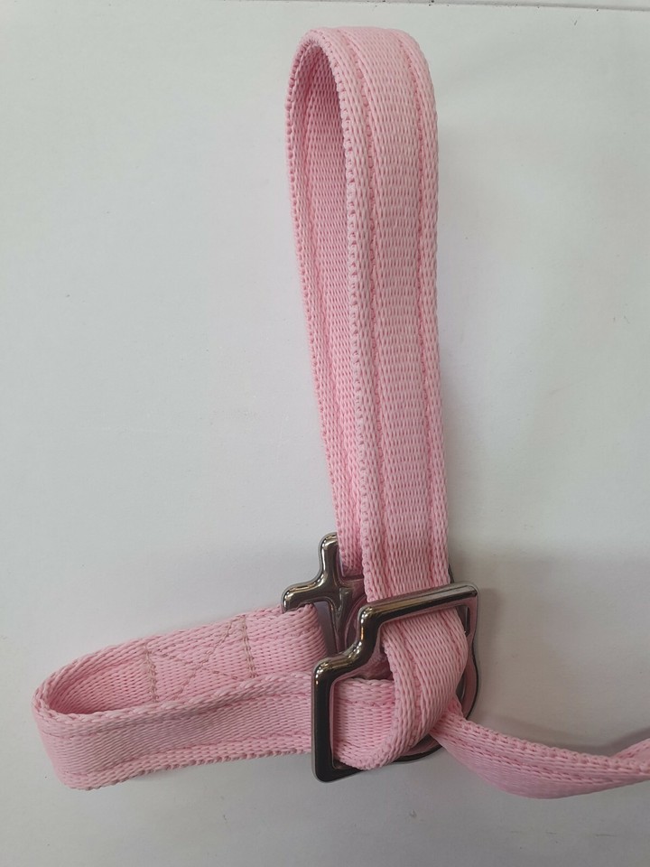 Goat Sheep Halter Adjustable PINK 20mm soft cushion webbing | eBay UK