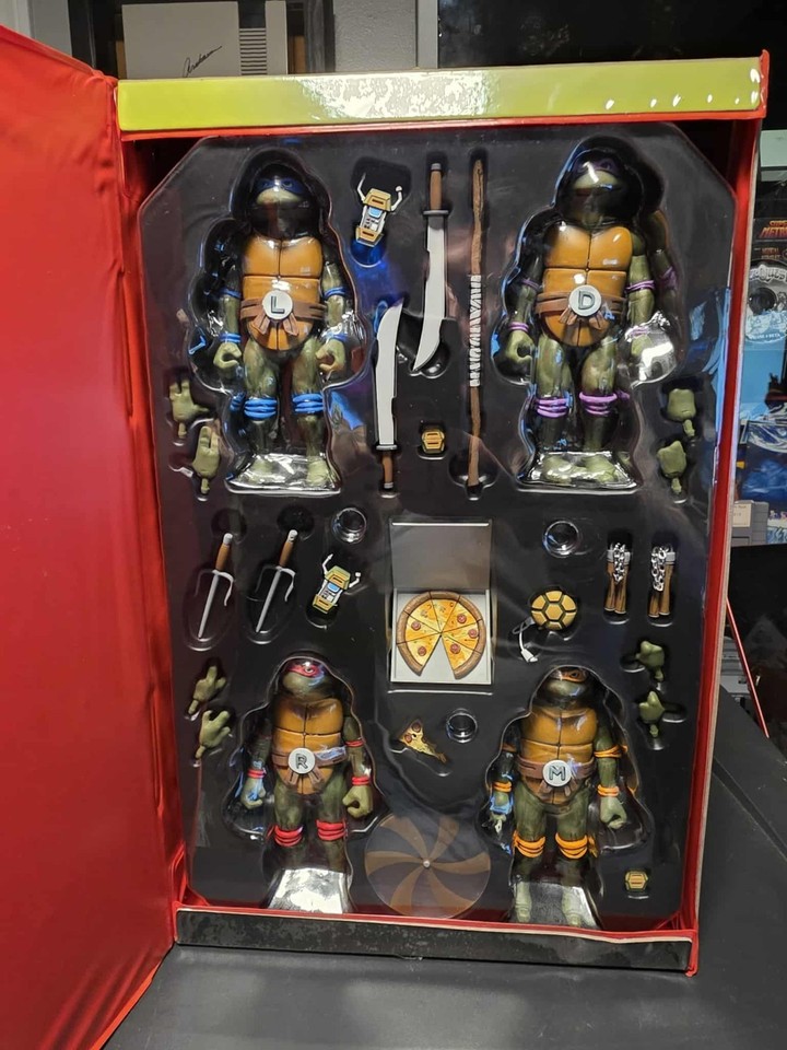 NECA Teenage Mutant Ninja Turtles TMNT 2017 Collector's Case 8 Figure ...