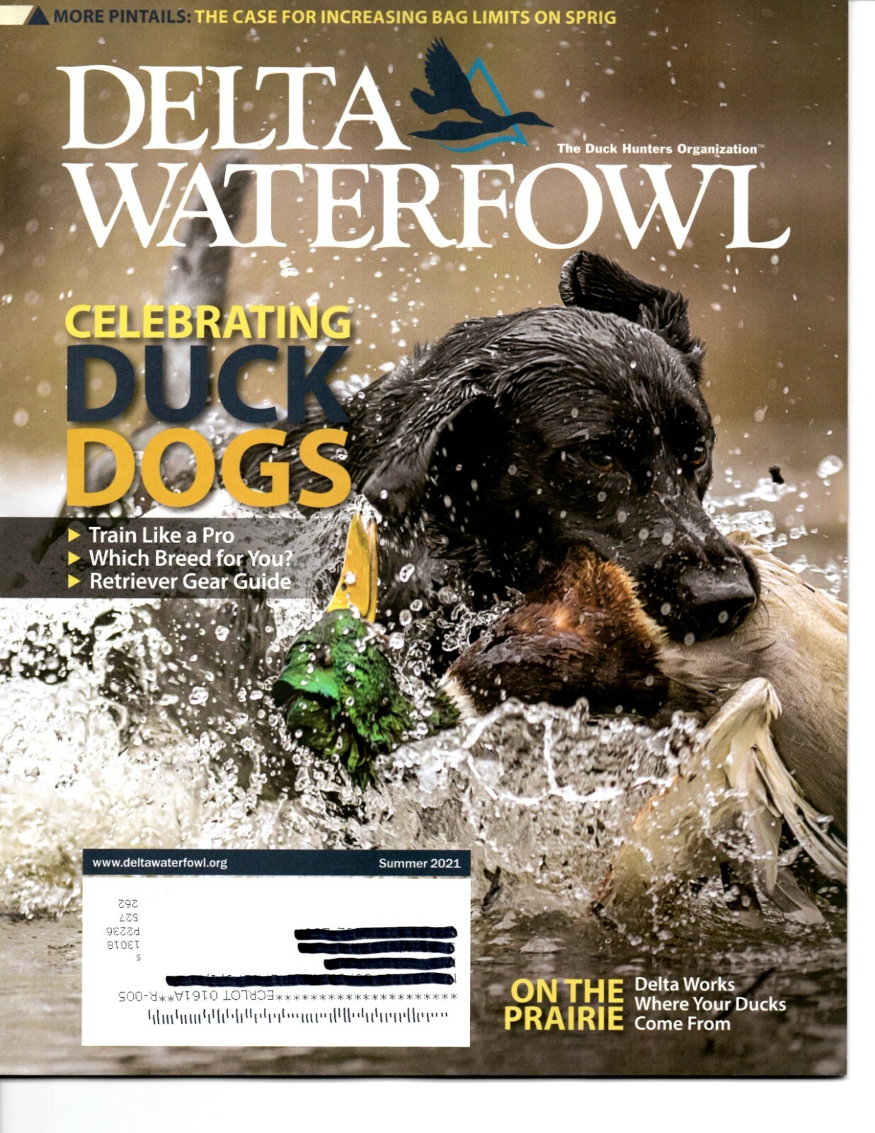 Delta Waterfowl Magazine Summer 2021 Ducks Unlimited NEW | eBay