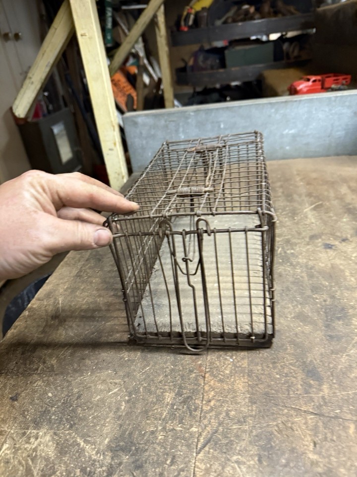 Antique Rare Primitive Hunting Small Animal Mouse Fur Rodent Wire Cage ...
