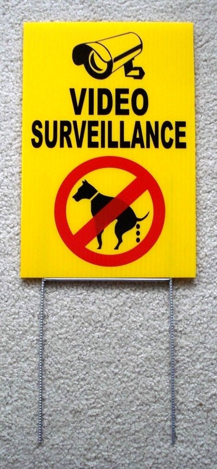 VIDEO SURVEILLANCE - NO DOG POOP 8"X12" Plastic Coroplast Sign with ...