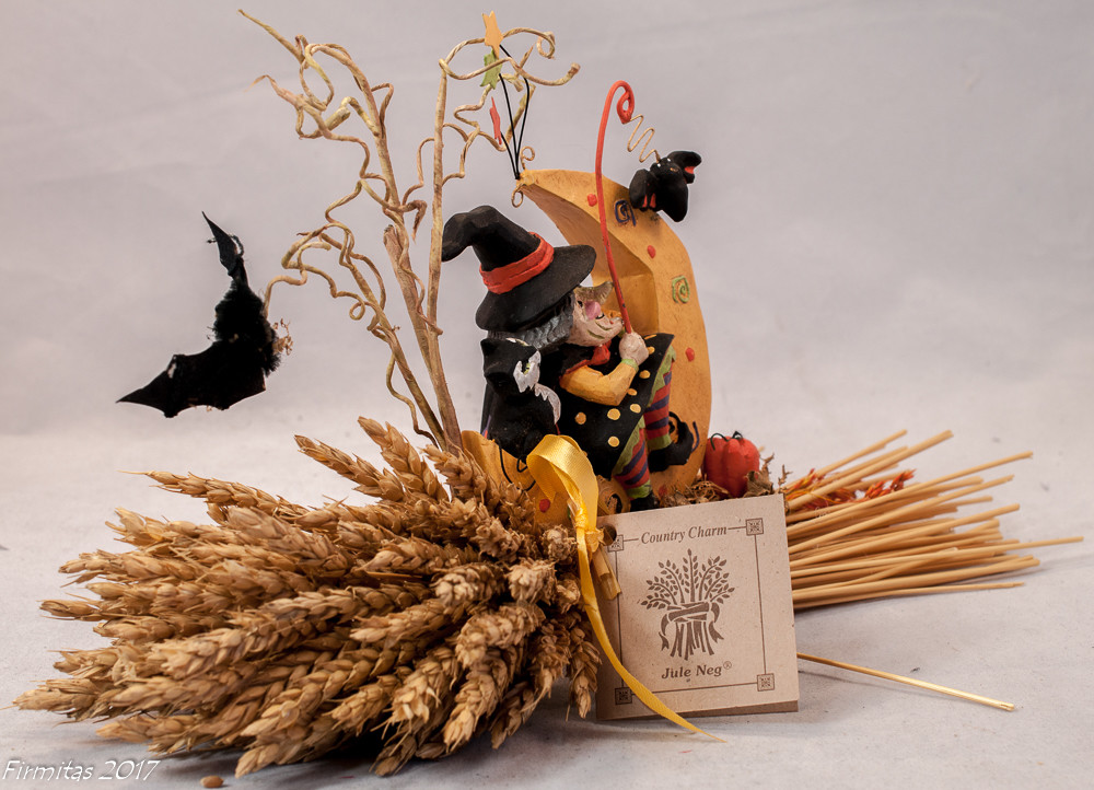 Department 56 Halloween Display Witch Cat Bats Jule Neg Craft ...
