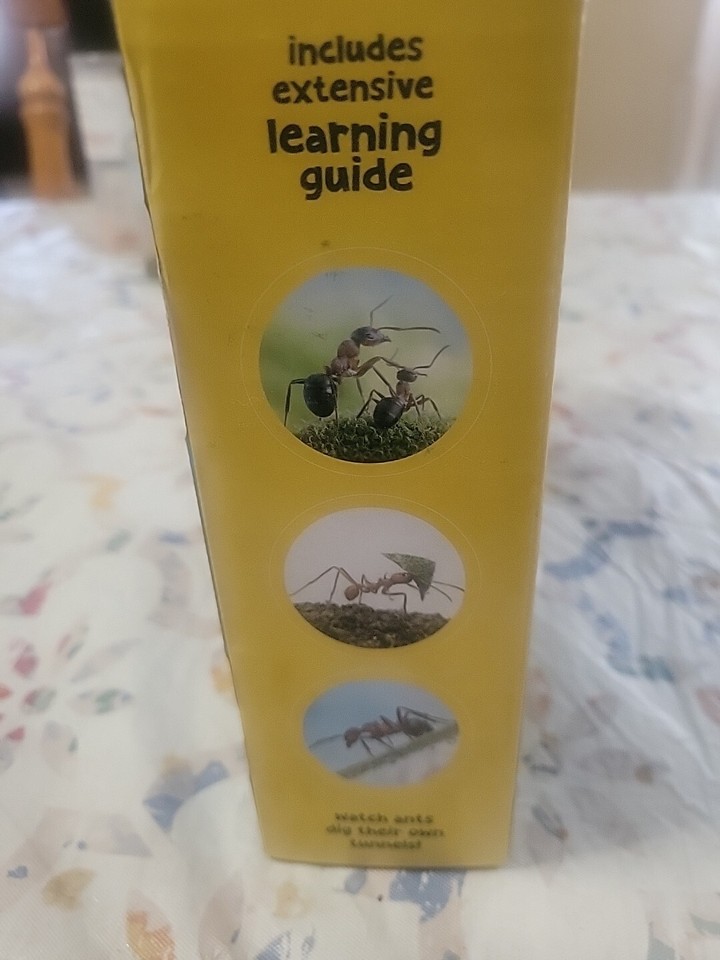 Light Up Ant Terrarium | eBay