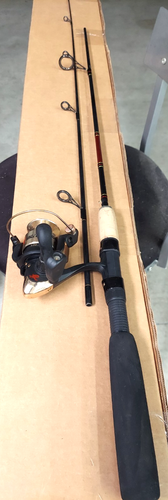 Eagle Claw Black Eagle Rod & 440 Reel | eBay