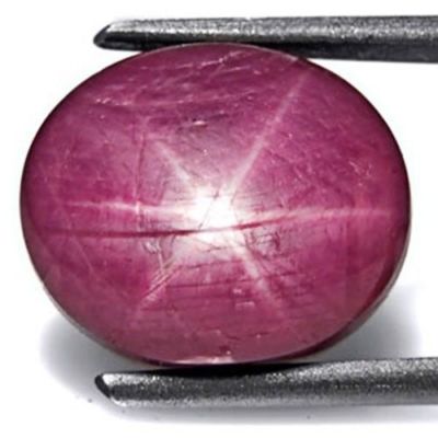 INDIA Star Ruby 8.40 Cts Natural Untreated Dark Pinkish Red Oval | eBay