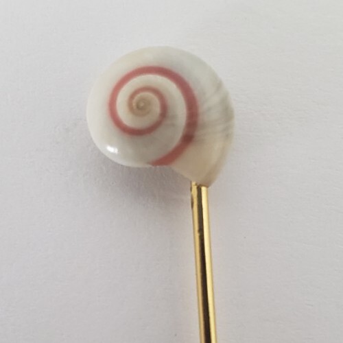 Real Sea Snail Fossil Shell Hat Lapel Stick Pin Brooch Thin Pink Swirl ...