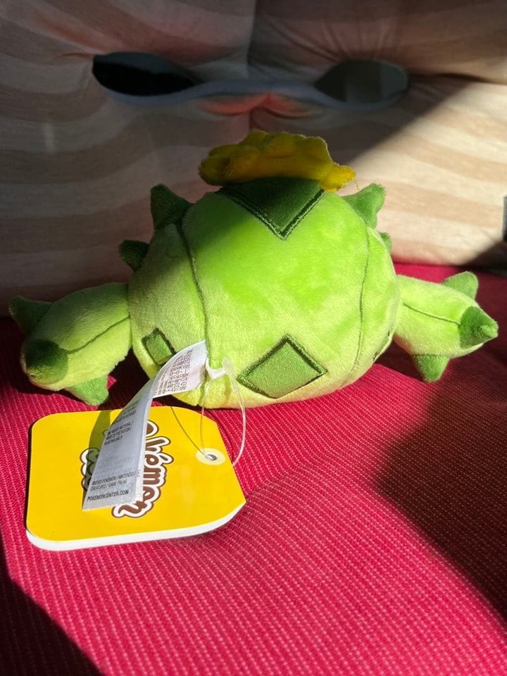 Cacnea Pokémon fit Plush Paper Tag Pokémon Center | eBay