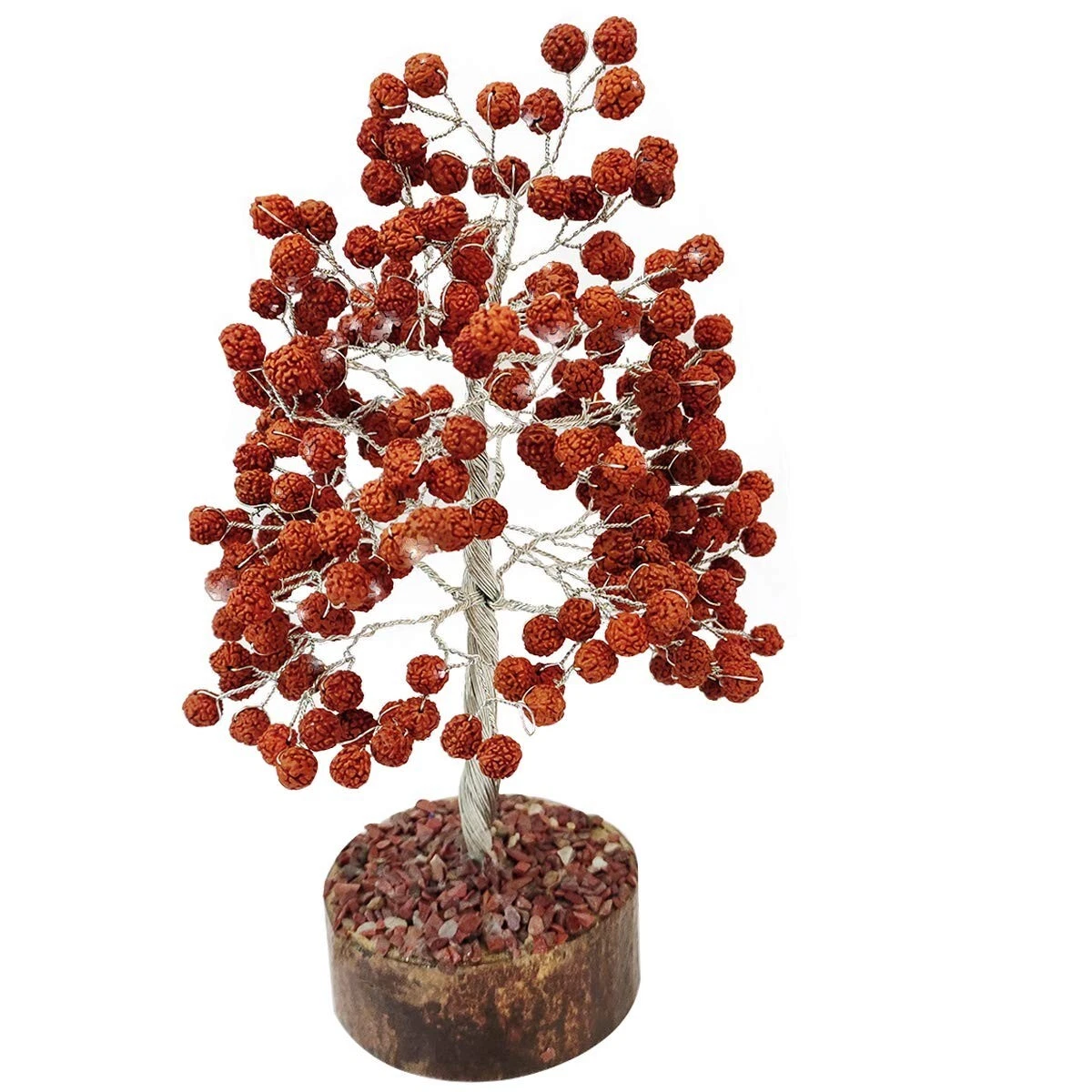 Rudraksha Tree
