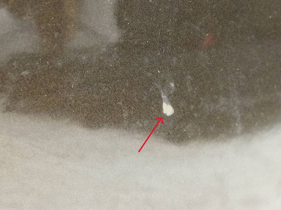 Porta Posteriore Destra 41517386740 BMW X5 F15 X5 M F85 | eBay