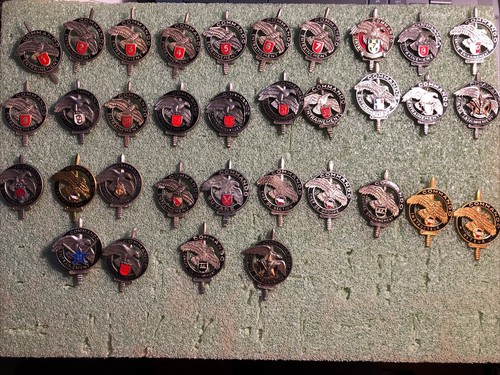Rare French Commando Training Center School Badge Collection Insignia ...