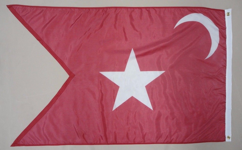 South Carolina Secession 1861 Indoor Outdoor Historical Dyed Nylon Flag ...