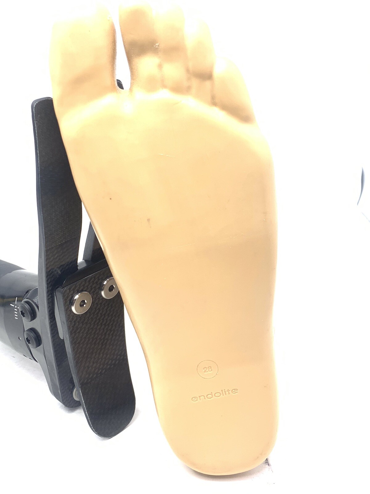 endolite blatchford linx prosthetic knee and foot. microprocessor ...
