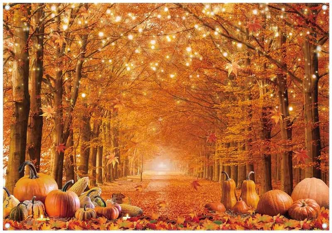 Fall Harvest Backgrounds With Pumpkins